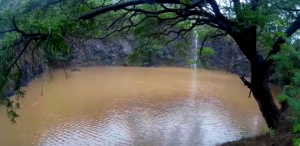 Complete Guide to Sanjay Gandhi National Park